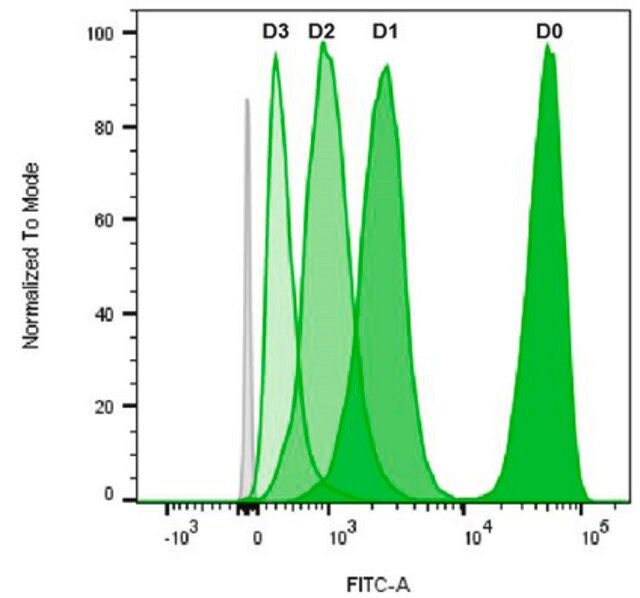 BioTracker 488 Green CSFE Cell Proliferation Kit
