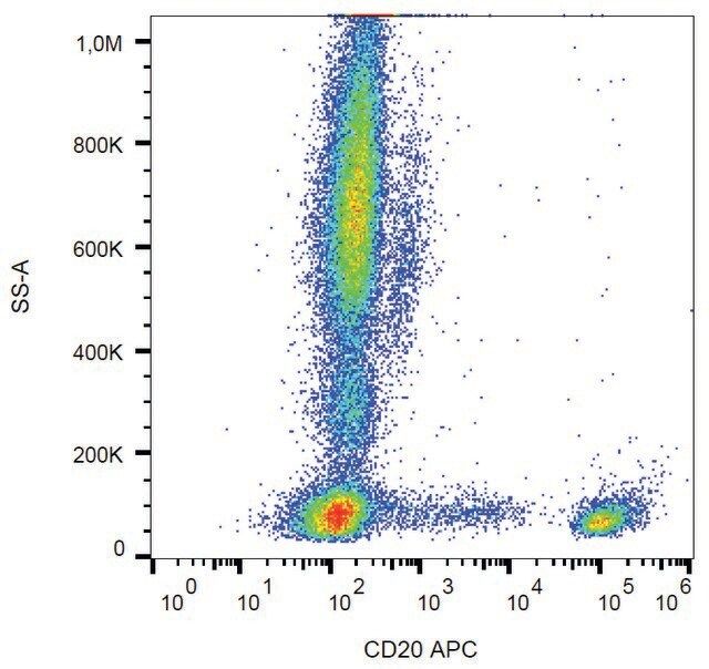 Monoclonal Anti-CD20-APC antibody produced in mouse