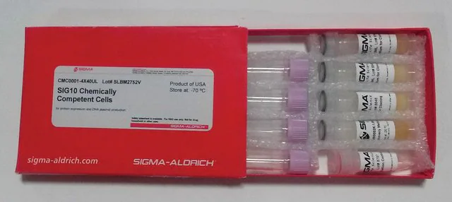 SIG10 HIGH Electrocompetent Cells