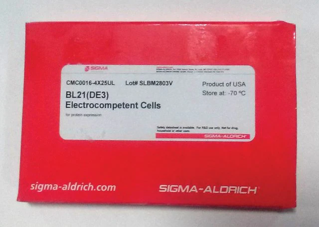 BL21(DE3) Electrocompetent Cells