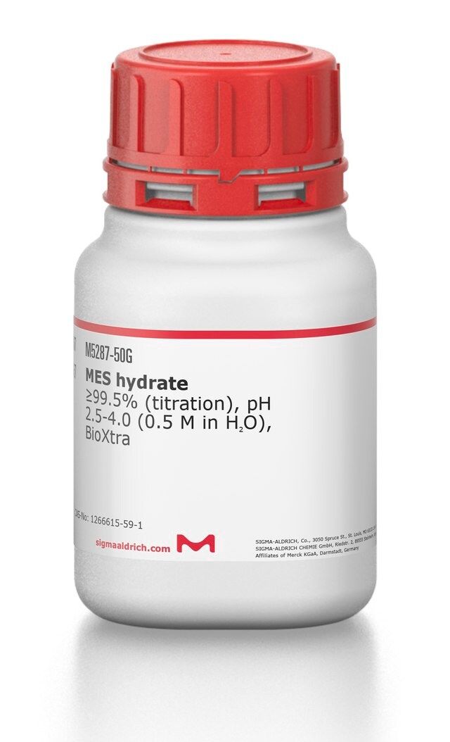 1266615-59-1，MES 水合物，MES hydrate